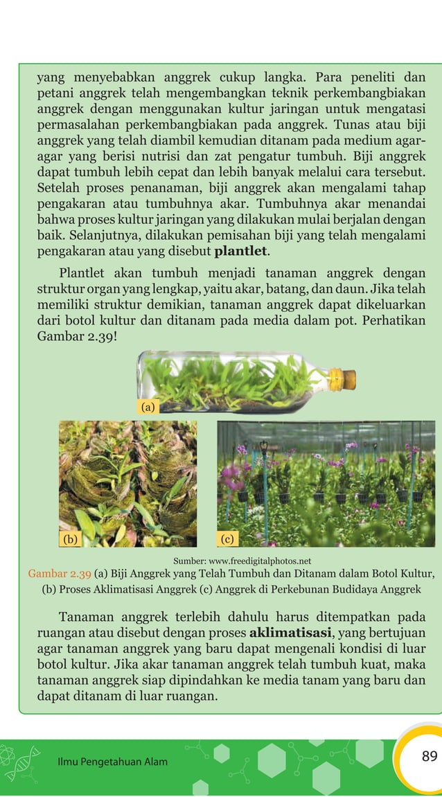 Ipa9 kd2-sistem perkembangbiakan tumbuhan dan hewan | PDF