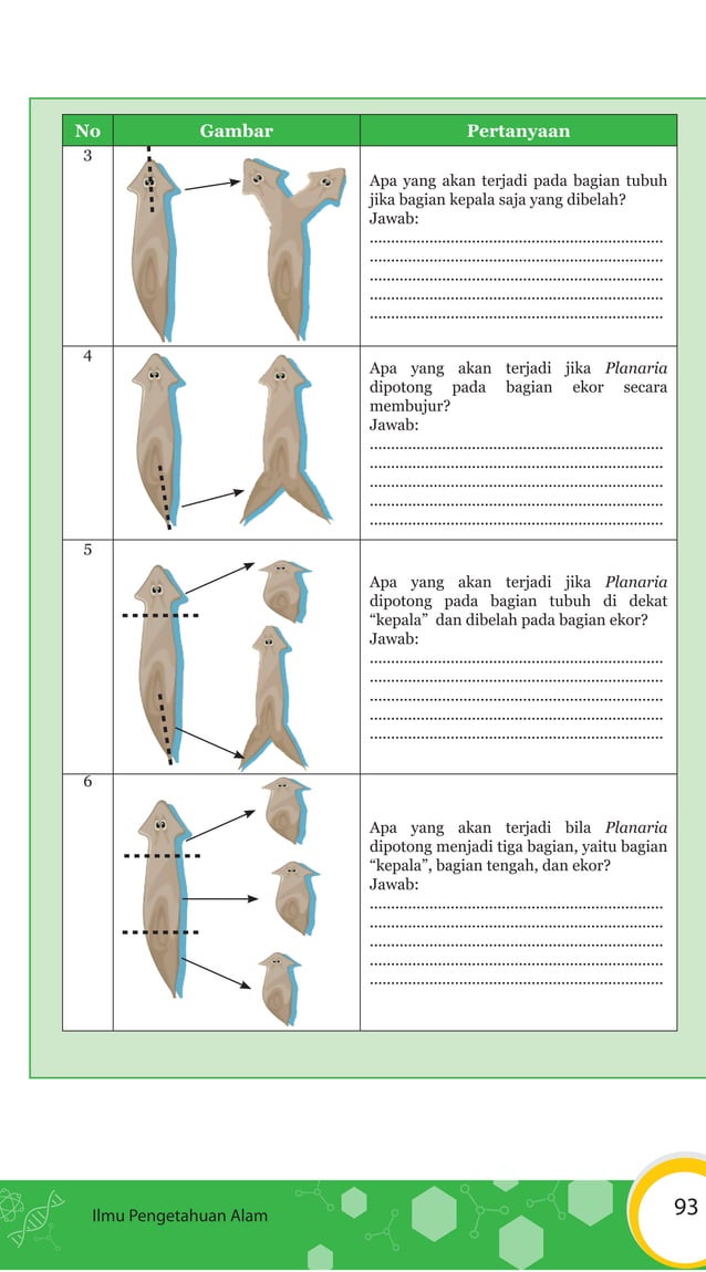 Ipa9 kd2-sistem perkembangbiakan tumbuhan dan hewan | PDF