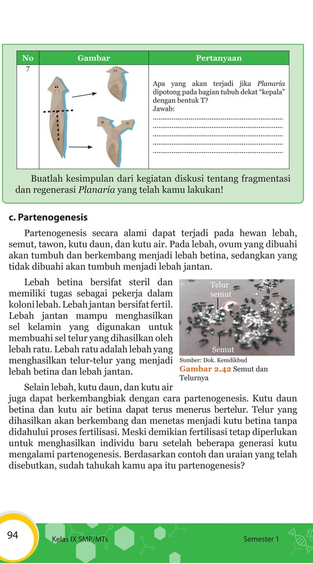 Ipa9 kd2-sistem perkembangbiakan tumbuhan dan hewan | PDF