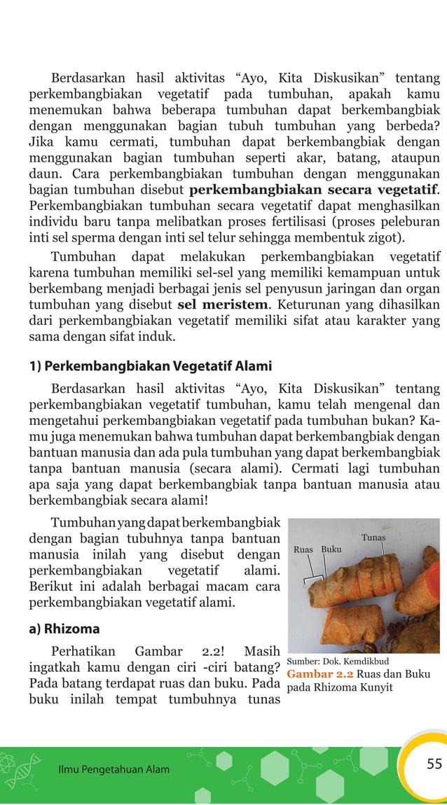 Ipa9 kd2-sistem perkembangbiakan tumbuhan dan hewan | PDF