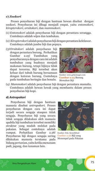 Ipa9 kd2-sistem perkembangbiakan tumbuhan dan hewan | PDF