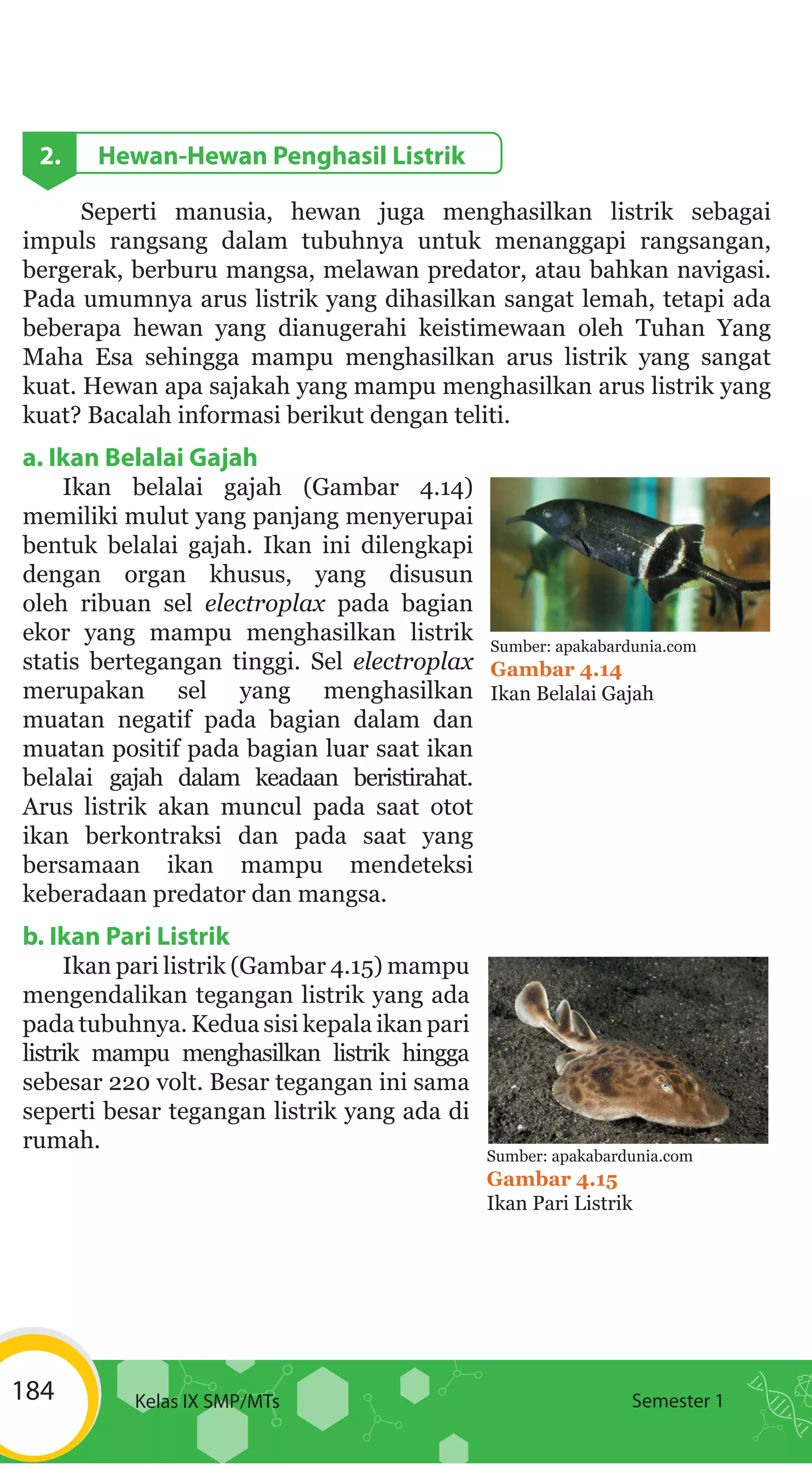 Ipa9 kd4-listrik statis dalam kehidupan sehari-hari | PDF