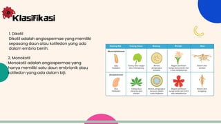 IPA Adeline, Nova, Merril, Rafa_20240205_065511_0000.pptx