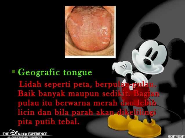 Ipa alat indra pengecap kls 9 | PPT