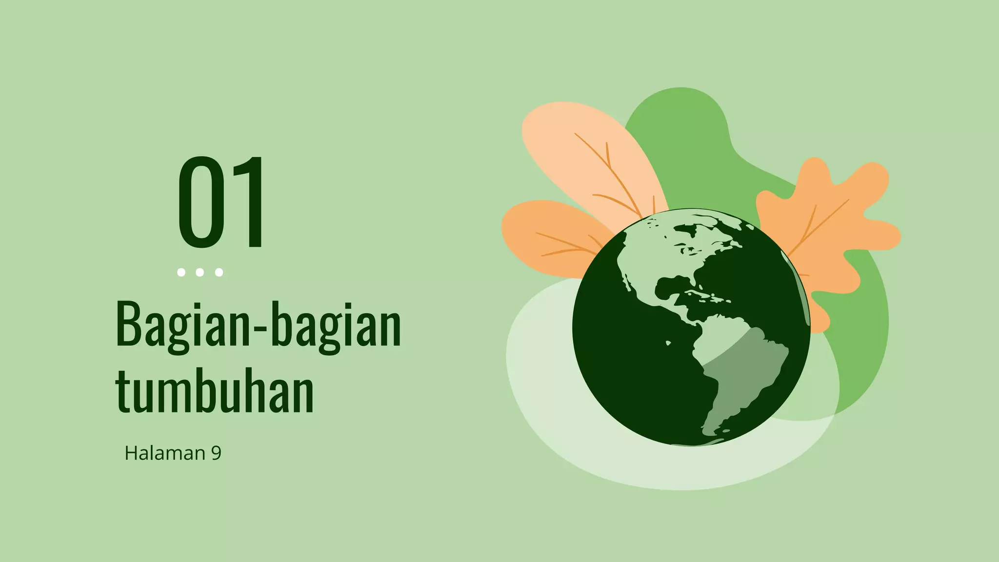 Ipa bagian tumbuhan pertemuan 1 (3 jp) | PPT | Free Download