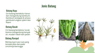 Ipa bagian tumbuhan pertemuan 1 (3 jp) | PPT