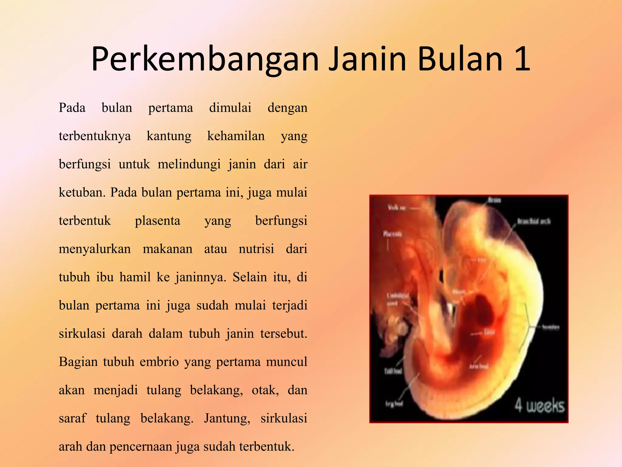 Ipa biologi ix e- 03 | PPTX