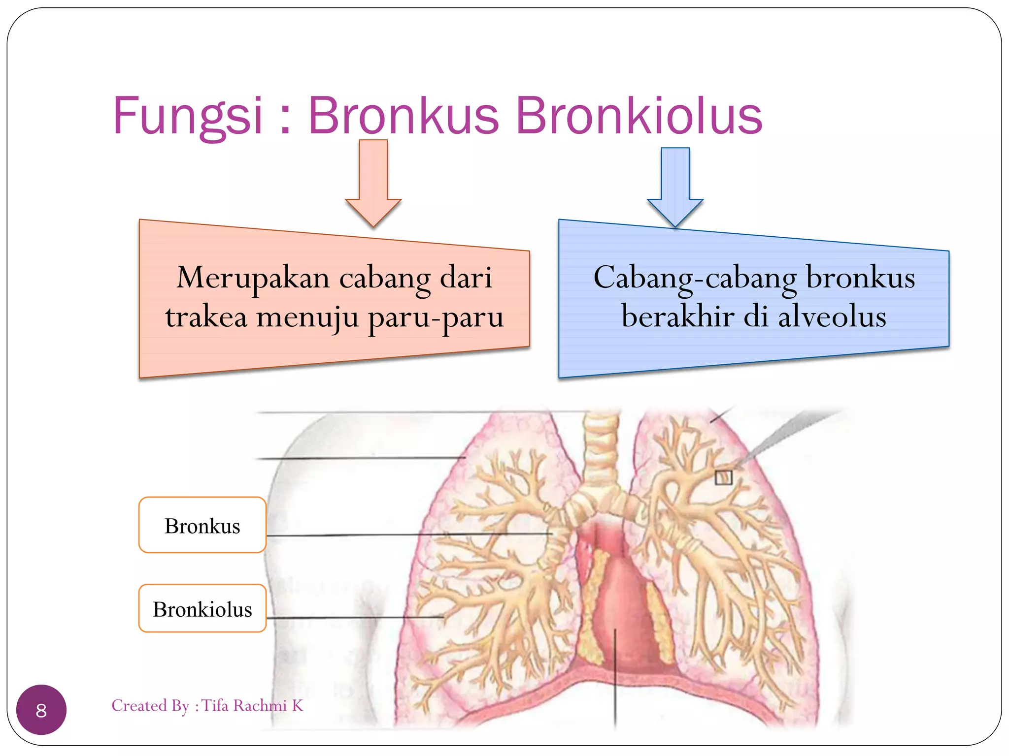 Ipa biologi sistem pernafasan manusia | PDF
