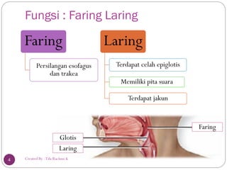 Ipa biologi sistem pernafasan manusia | PDF