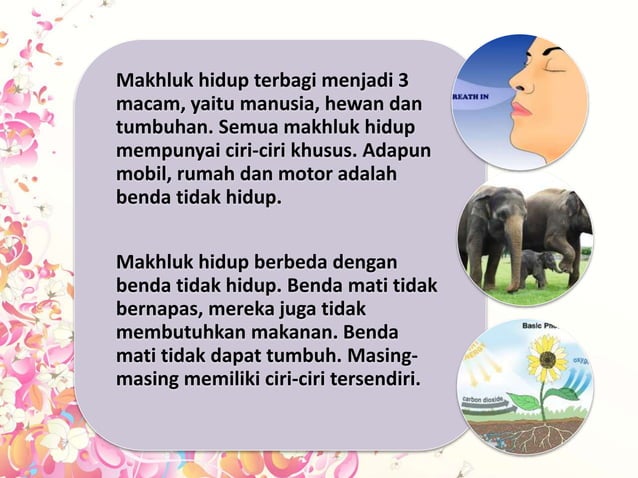 ciri-ciri makhluk hidup ipa sd | PPTX