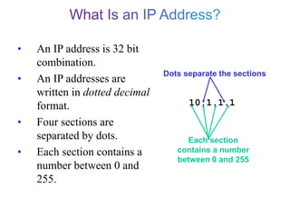 ip_addressing_subnetting aaaaaaaaaaa.ppt | Computer Networking | Computing