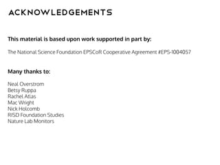 Charismatic Microfauna and Microflora: Gigapixel Imaging of Marine ...