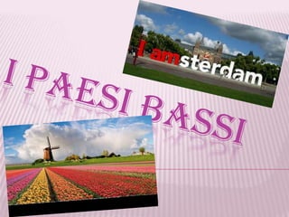 Paesi Bassi (Chiara C.) | PPT