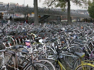 Paesi Bassi (Chiara C.) | PPT