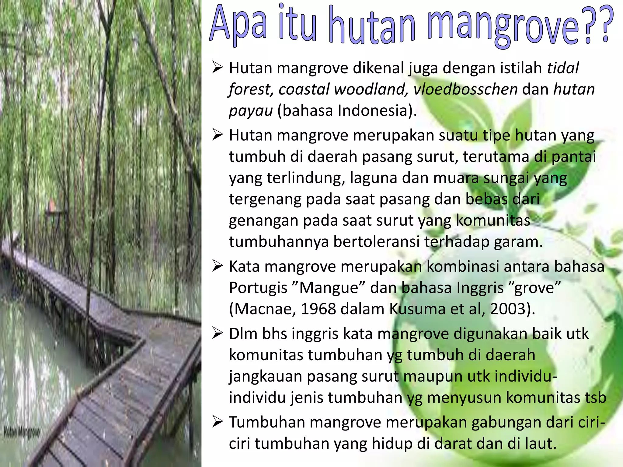 Ipa hutan mangrove | PPTX