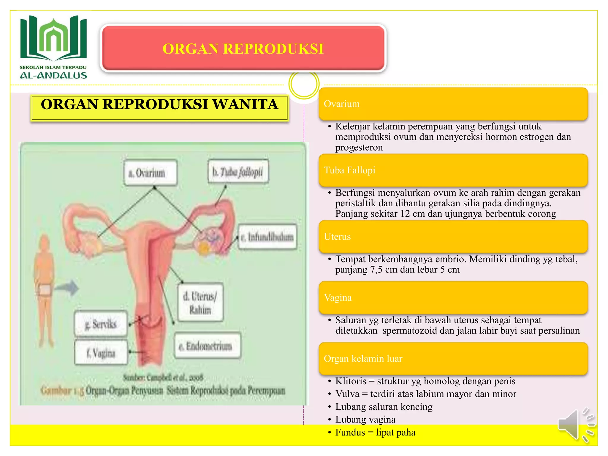 IPA IX.1 SISTEM REPRODUKSI.pptx