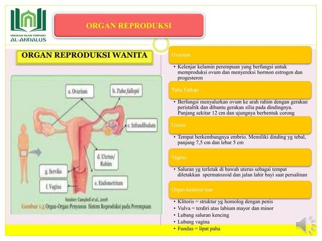 IPA IX.1 SISTEM REPRODUKSI.pptx