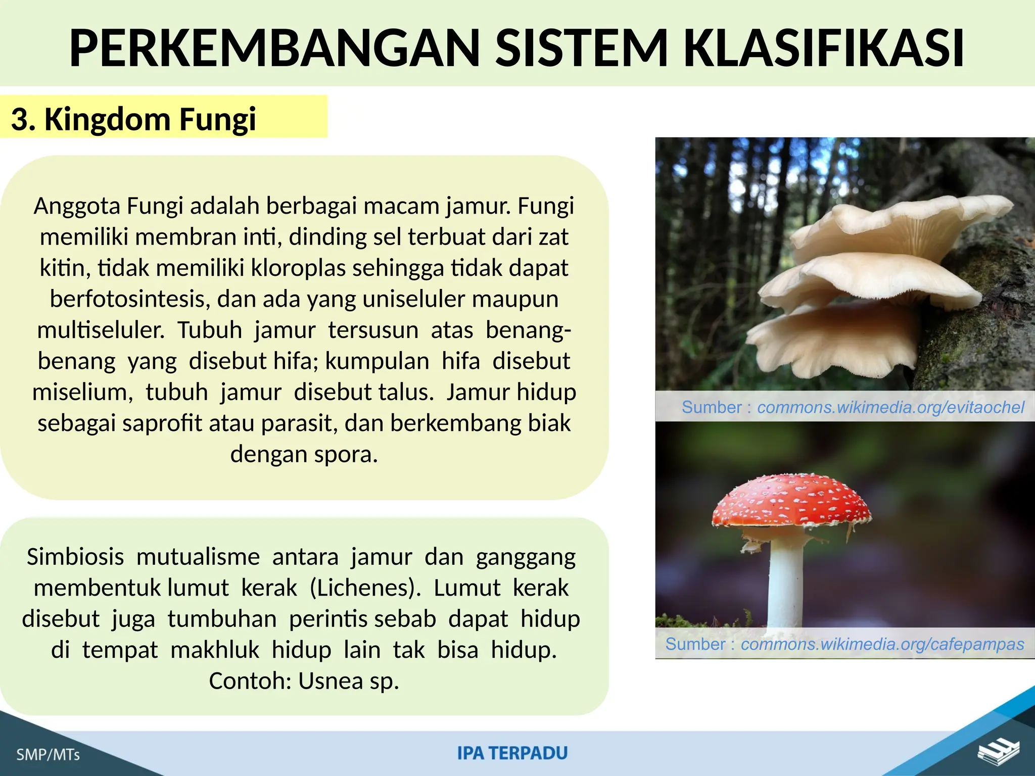 IPA Kelas 7 Bab 2 Klasifikasi Makhluk Hidup.pptx