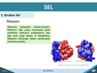 IPA Kelas 7 Bab 6 Organisasi Kehidupan.pdf