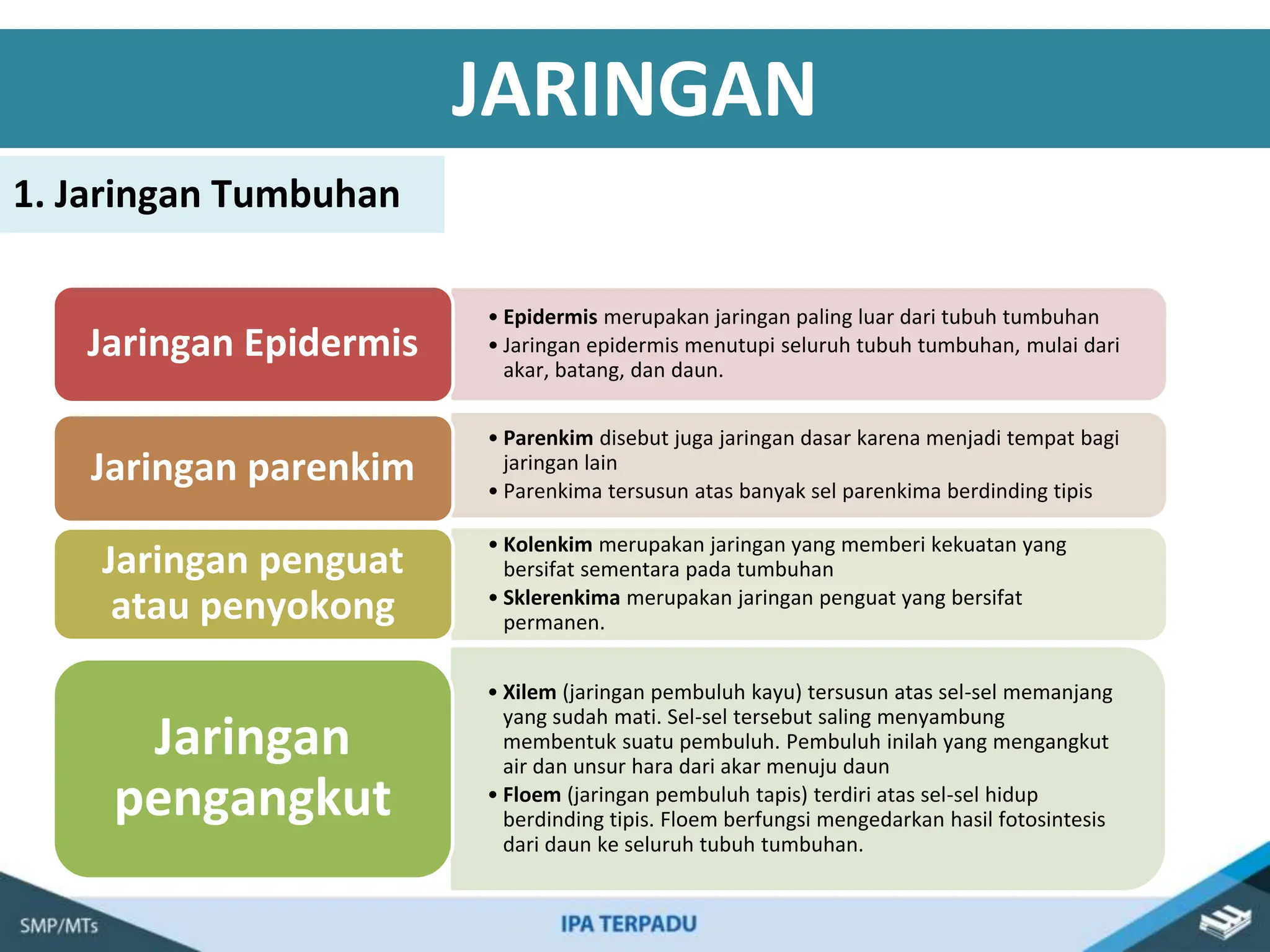 IPA Kelas 7 Bab 6 Organisasi Kehidupan.pptx
