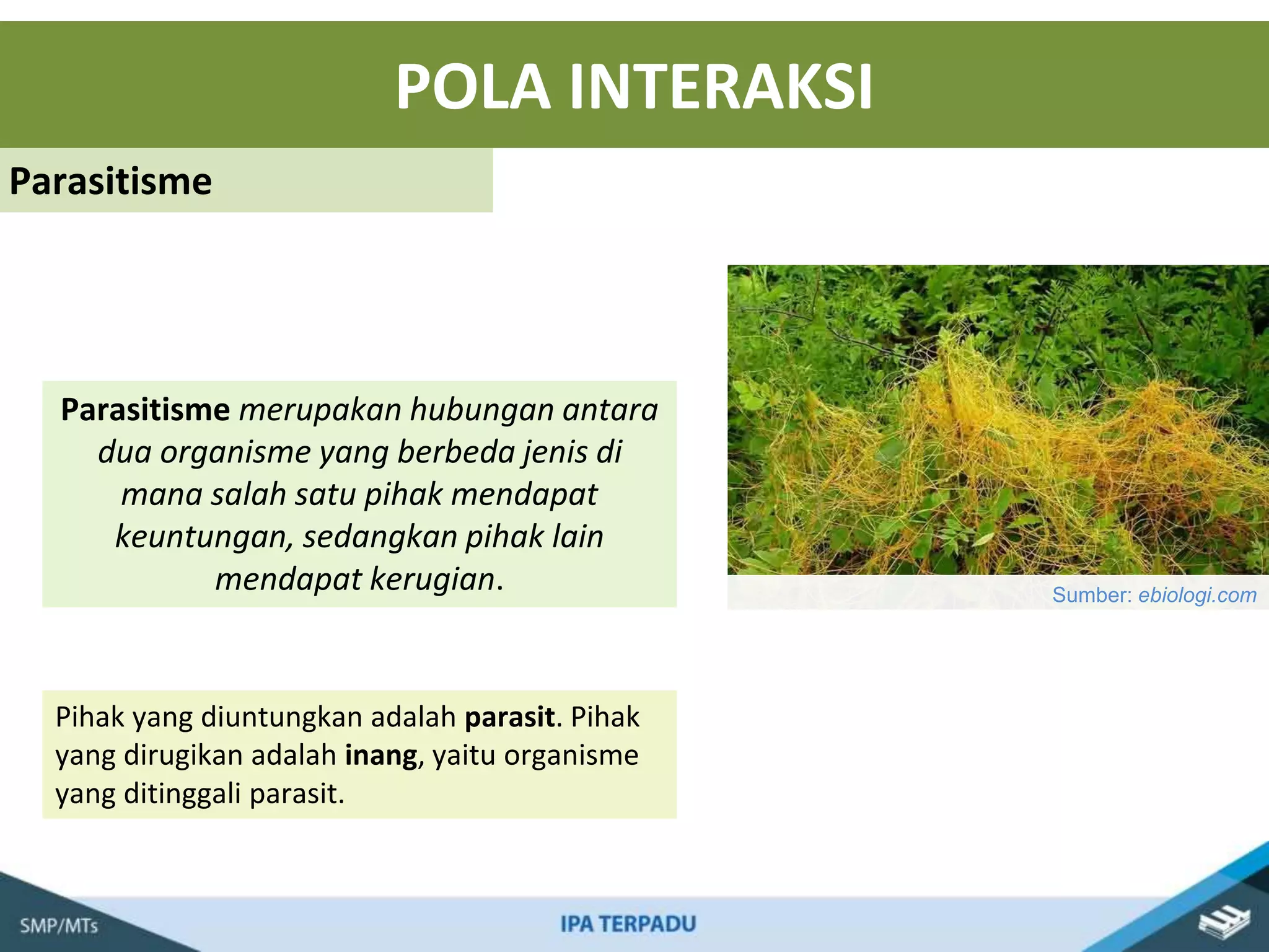 IPA Kelas 7 Bab 7 Ekosistem.pptx