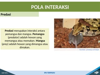 PPT IPA Kelas 7 Bab 7 Ekosistem SEMESTER 2 | PPTX