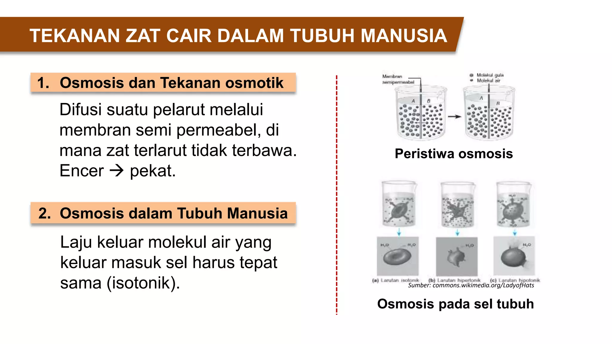 IPA Kelas 8 BAB 8 TEKANAN ZAT.pptx