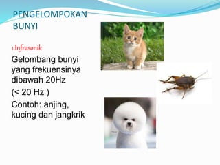 IPA KELAS 8 SEMESTER 2 - BUNYI.pptx