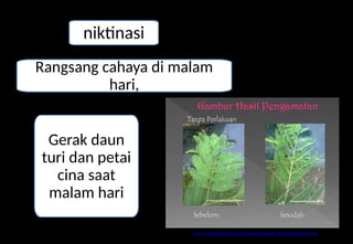 IPA_kelas 8_SISTEM GERAK PADA TUMBUHAN dan HEWAN.pptx