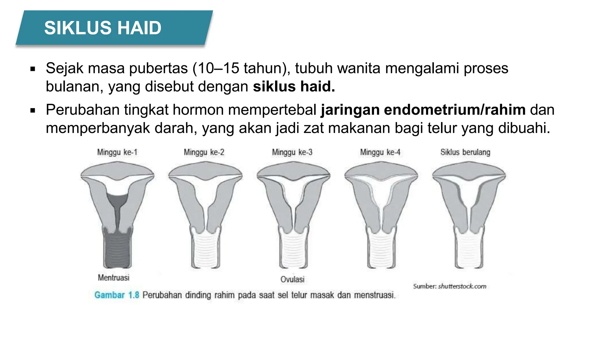 IPA Kelas 9 BAB 1. Sistem Reproduksi.pptx