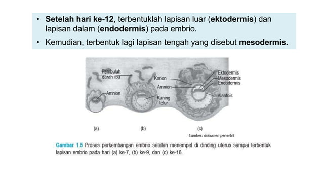 IPA Kelas 9 BAB 1. Sistem Reproduksi.pptx