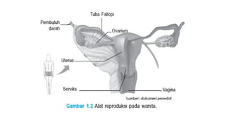 IPA Kelas 9 BAB 1.pptx sistem reproduksi manusia | PPT