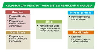 IPA Kelas 9 BAB 1.pptx sistem reproduksi manusia | PPT