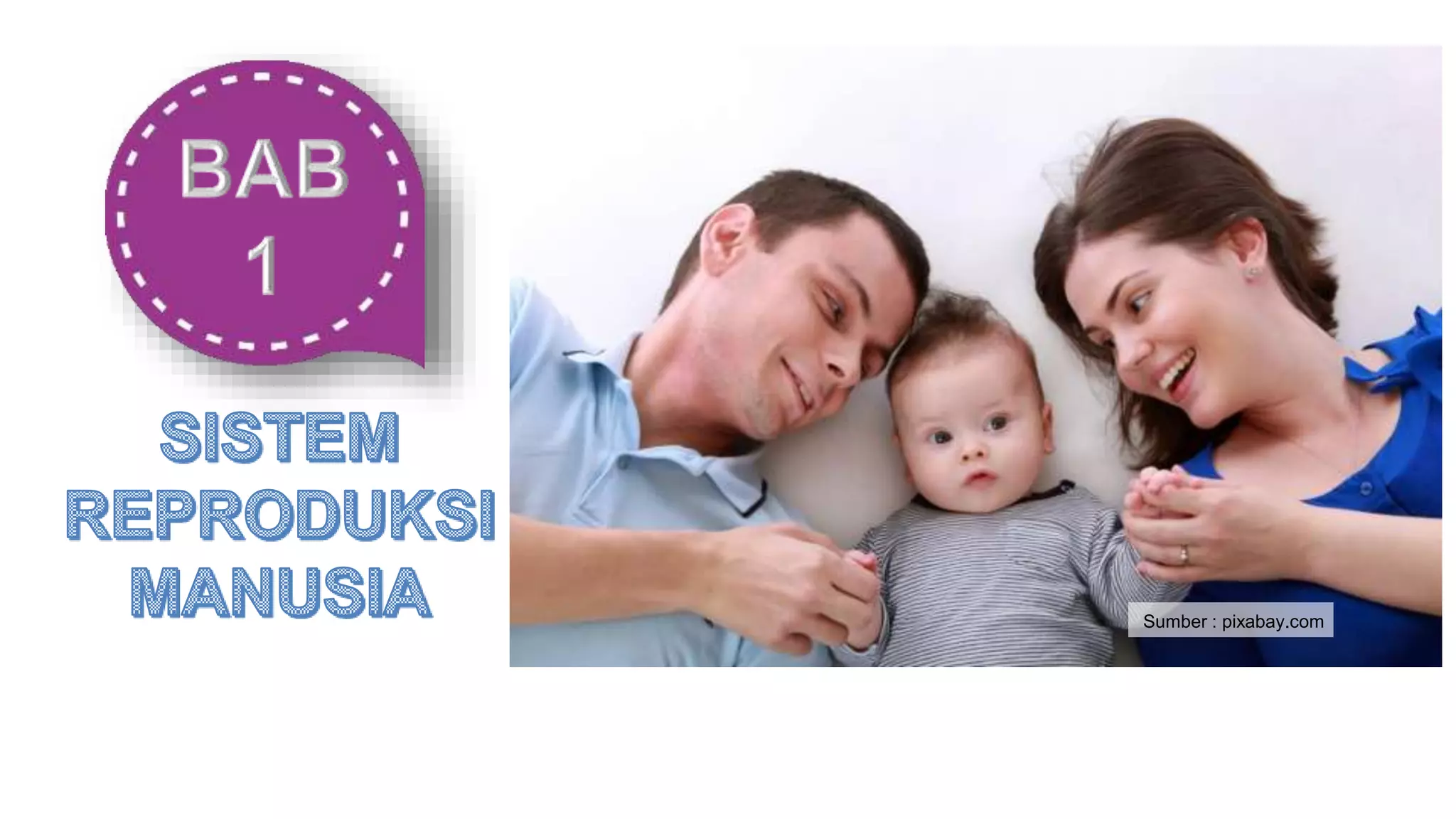 IPA Kelas 9 BAB 1 sistem reproduksi.pptx