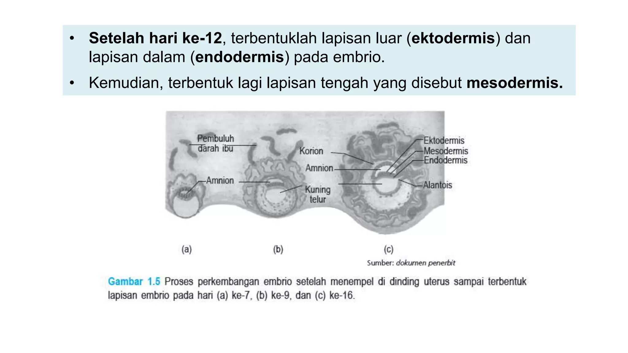 IPA Kelas 9 BAB 1 sistem reproduksi.pptx