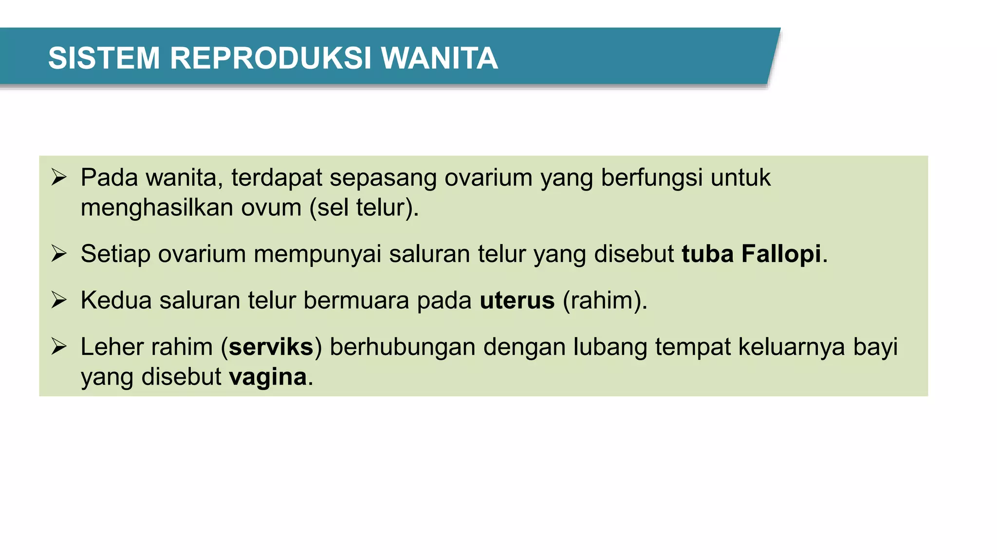 IPA Kelas 9 BAB 1 sistem reproduksi.pptx