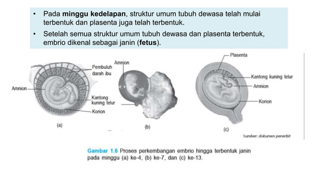 IPA Kelas 9 BAB 1 sistem reproduksi.pptx