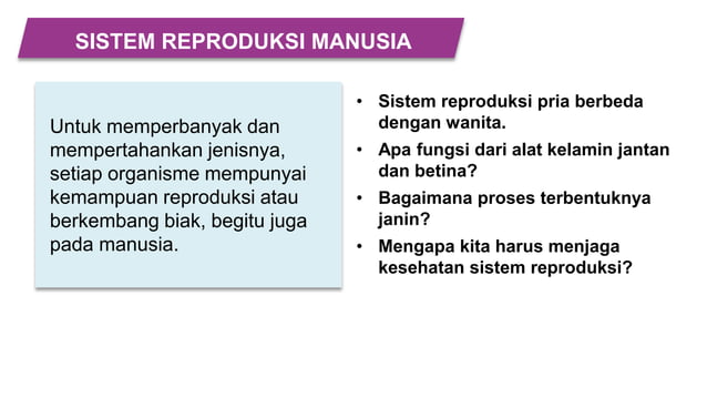 IPA Kelas 9 BAB 1 sistem reproduksi.pptx