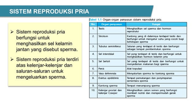 IPA Kelas 9 BAB 1 sistem reproduksi.pptx