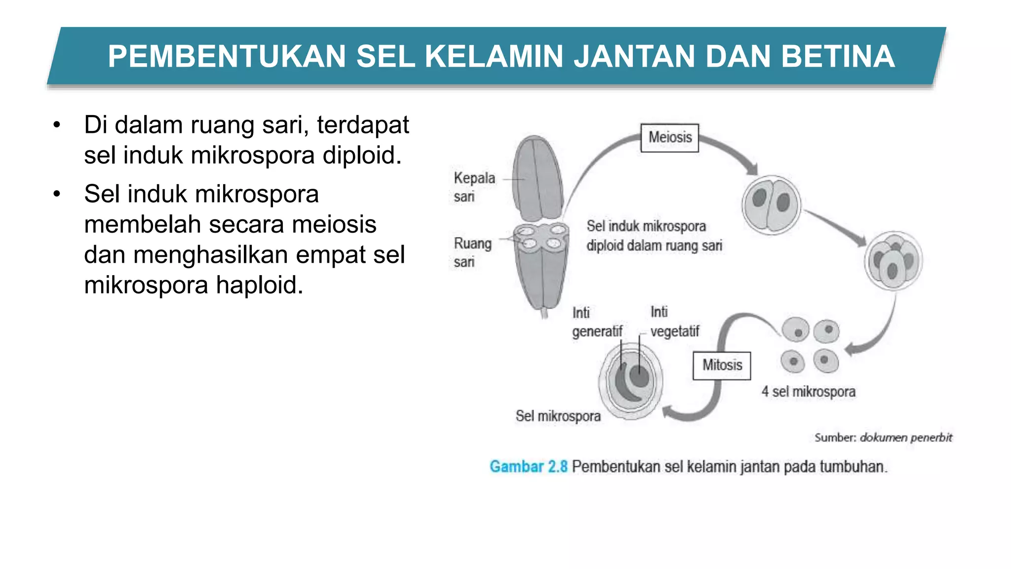 IPA Kelas 9 BAB 2.pptx
