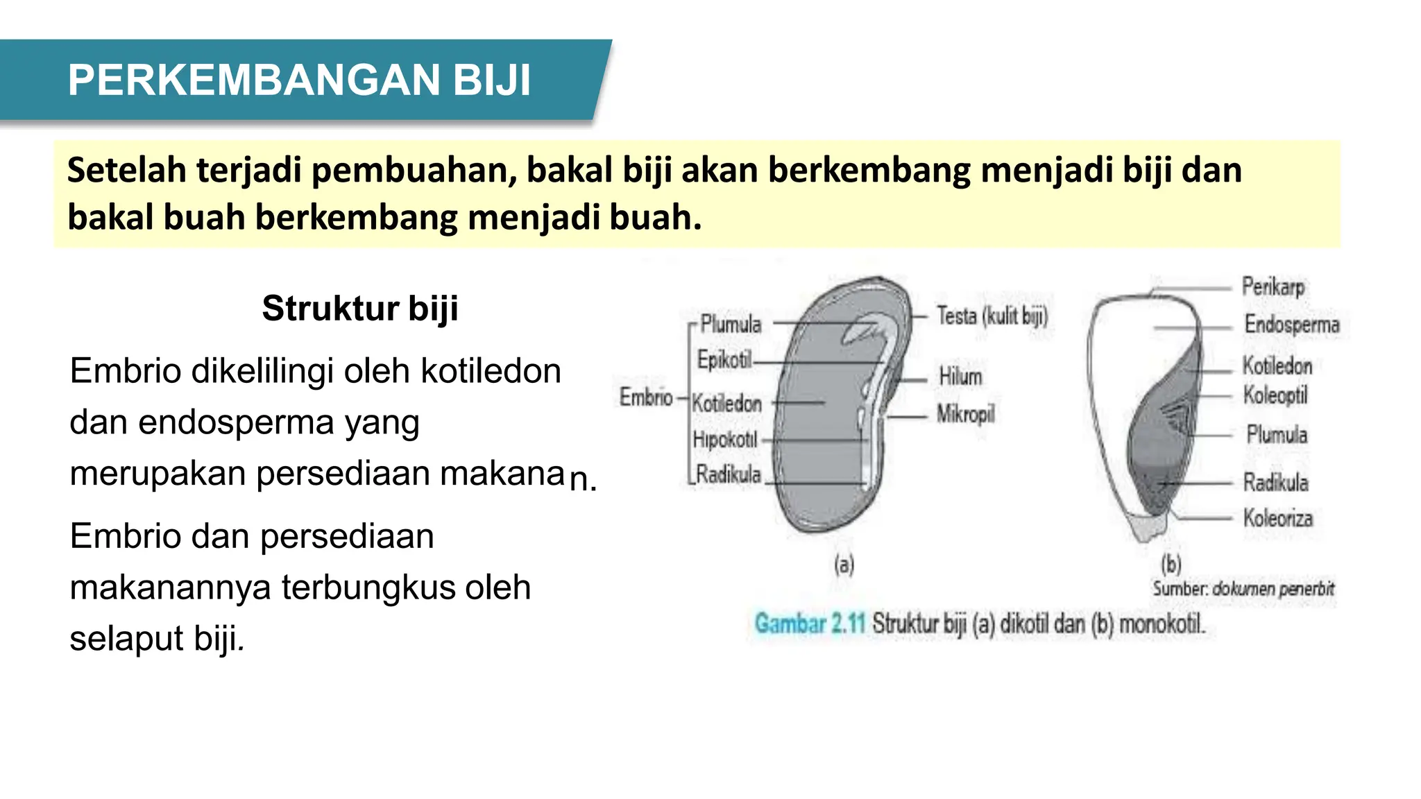 IPA Kelas 9 BAB 2. sistem reproduksi hewan.pptx