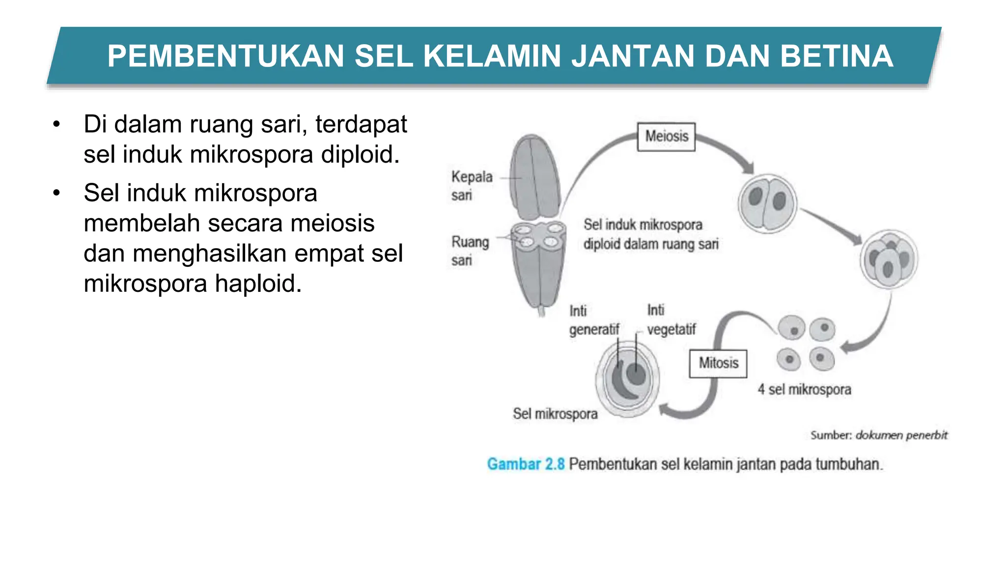 IPA Kelas 9 BAB 2 PEMBEAHAN SEL MAKHLUK HIDUP.pptx