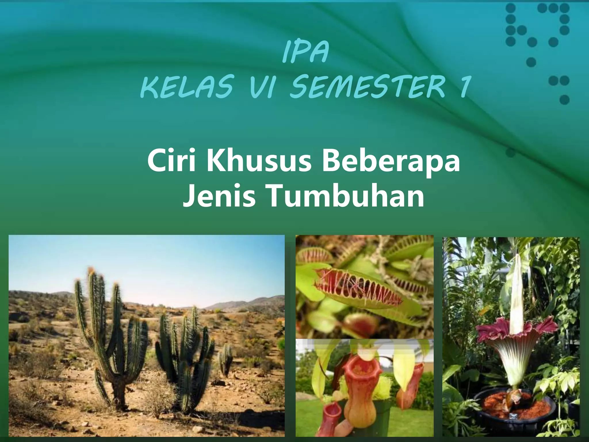 Ipa kelas vi semester 1 ciri khusus tumbuhan | PPTX