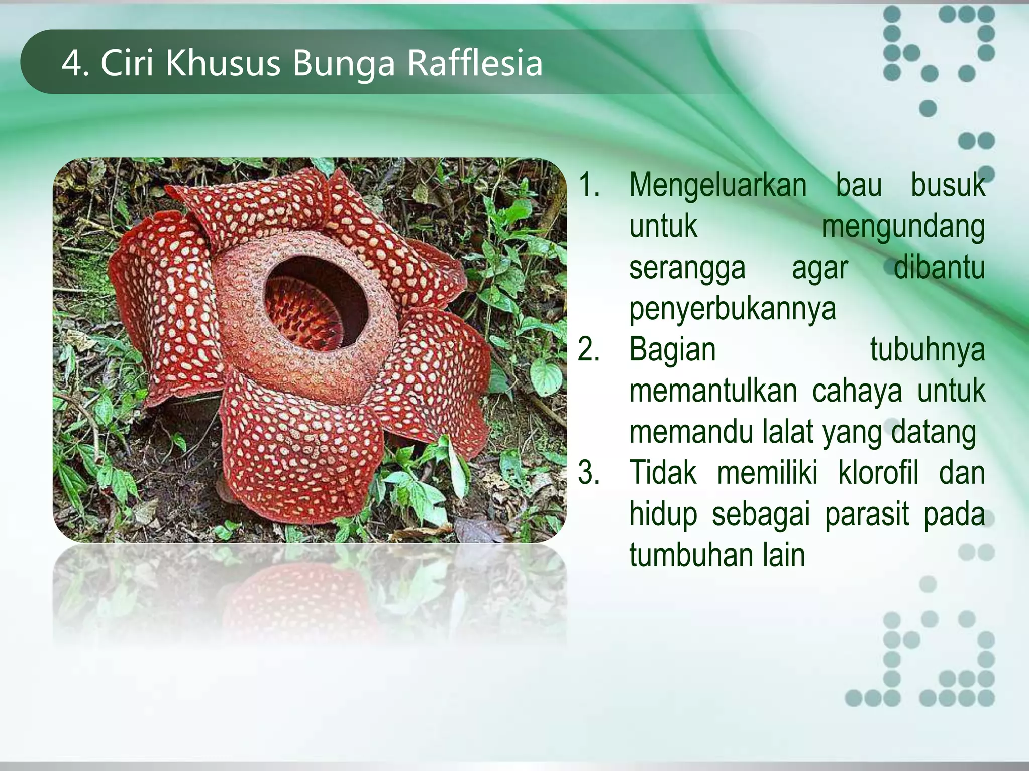 Ipa kelas vi semester 1 ciri khusus tumbuhan | PPTX