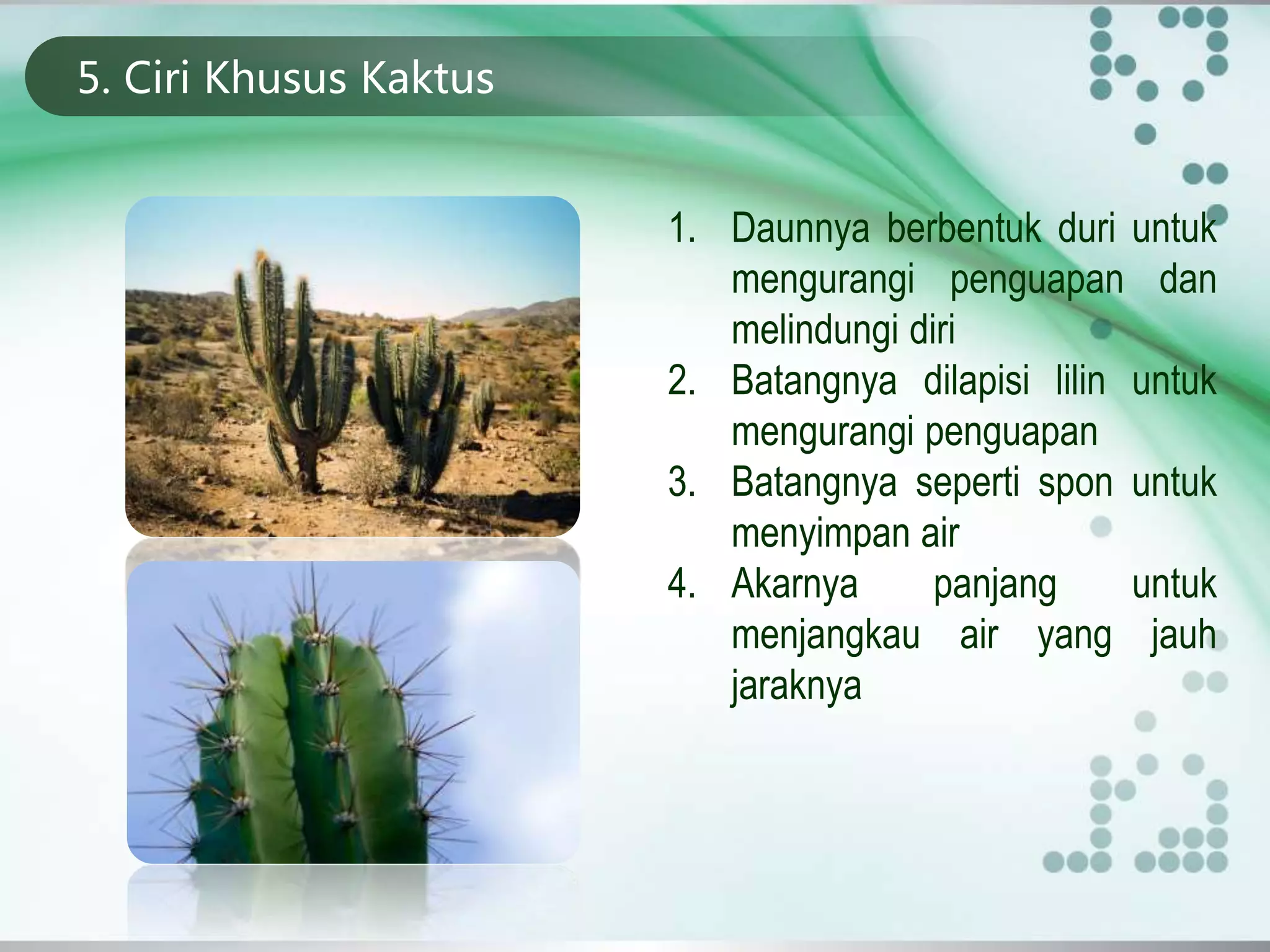 Ipa kelas vi semester 1 ciri khusus tumbuhan | PPTX