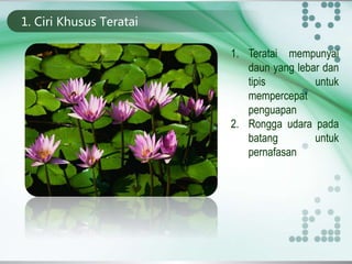 Ipa kelas vi semester 1 ciri khusus tumbuhan | PPTX