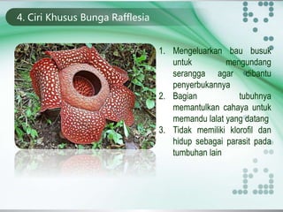 Ipa kelas vi semester 1 ciri khusus tumbuhan | PPTX