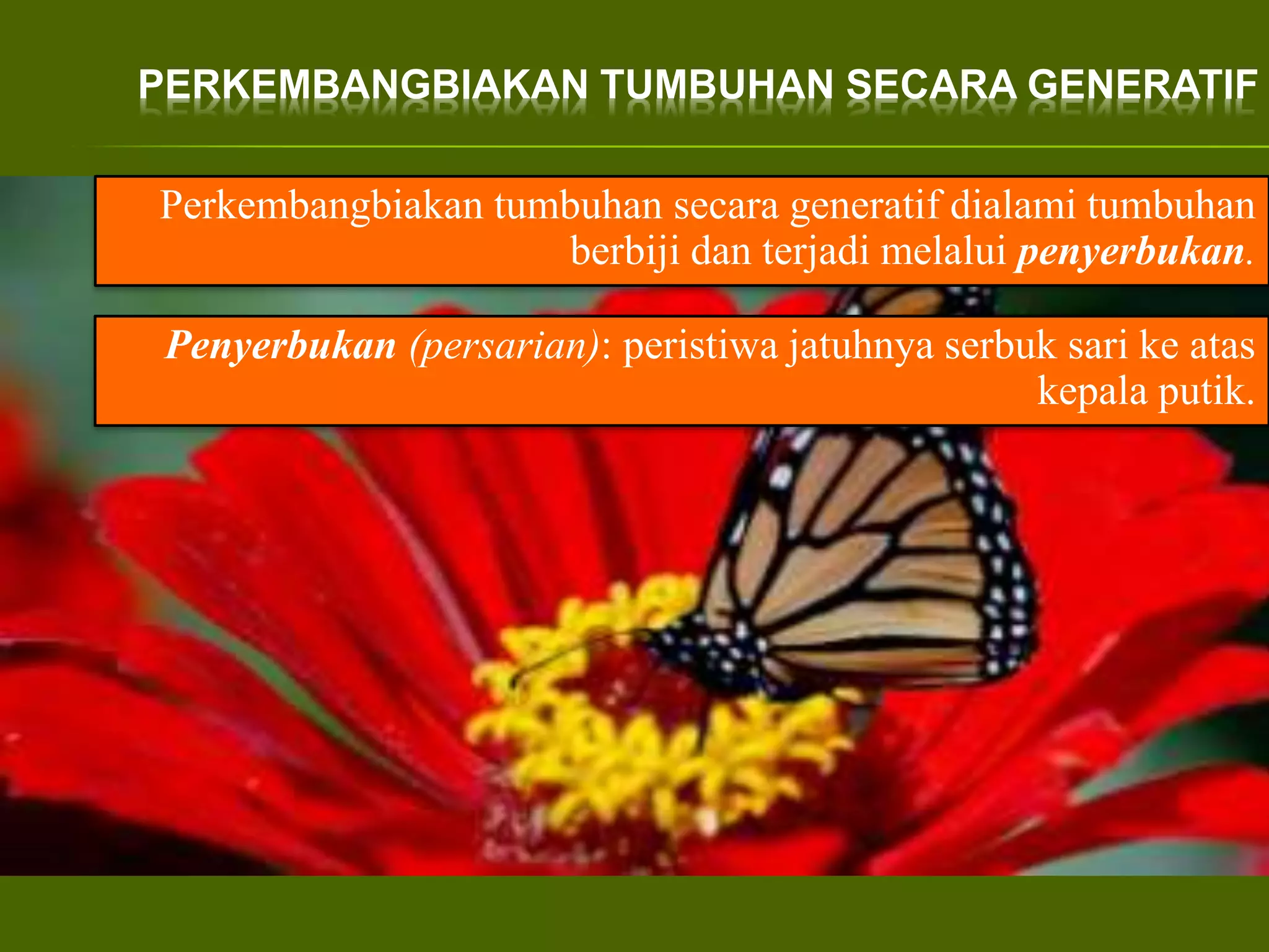 Ipa kelas vi semester i perkembangbiakan tumbuhan secara generatif | PPTX