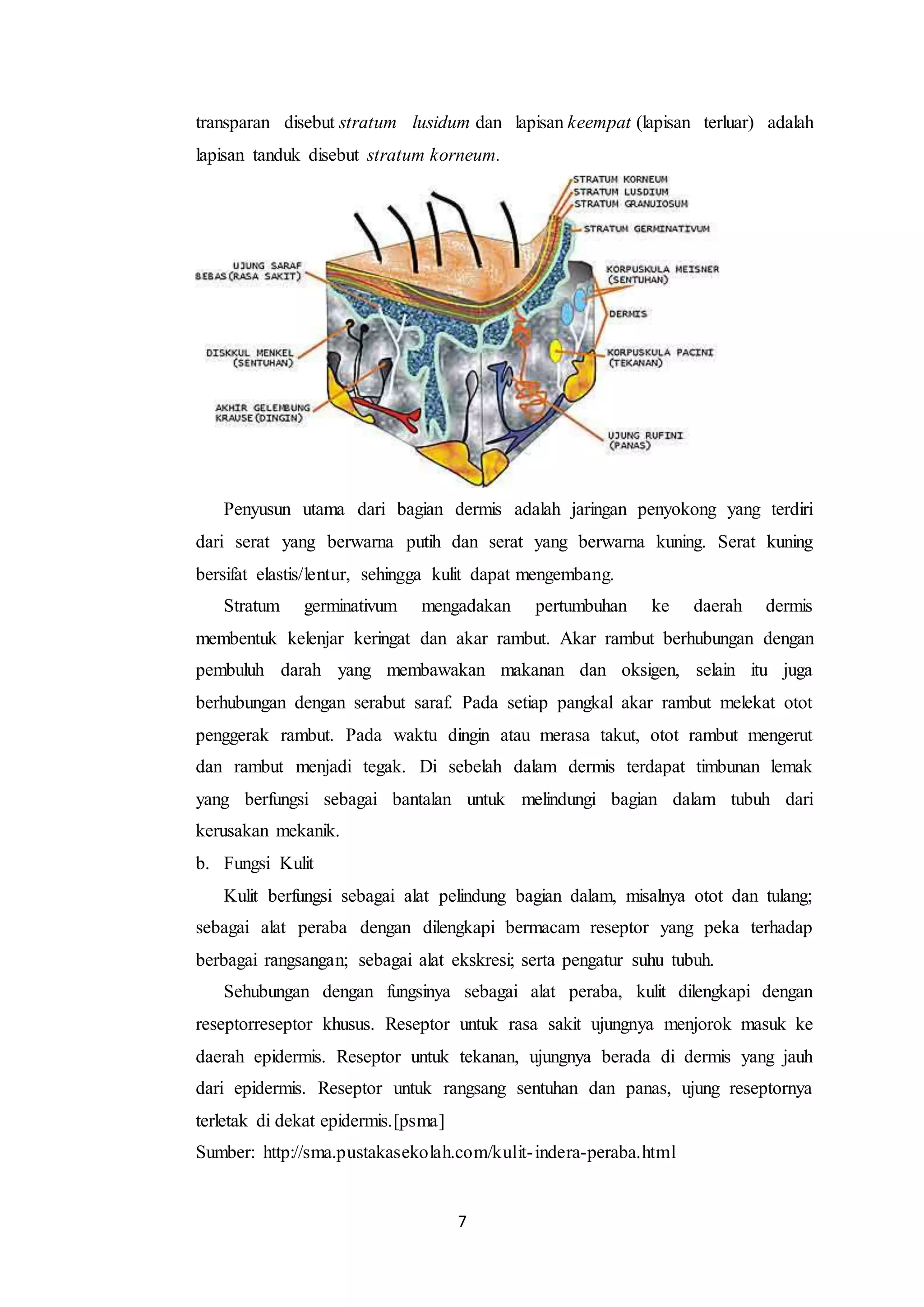 makalah alat indra | DOCX