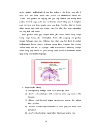 makalah alat indra | DOCX